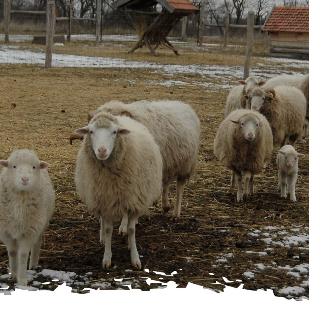 Festetics Imre Élményközpont