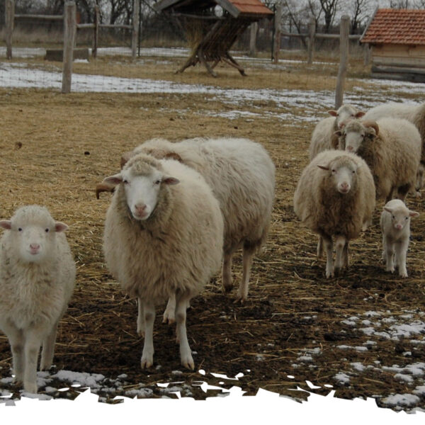 Festetics Imre Élményközpont