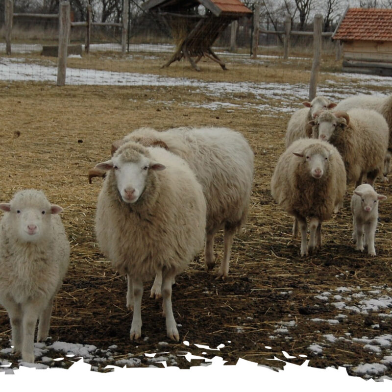 Festetics Imre Élményközpont