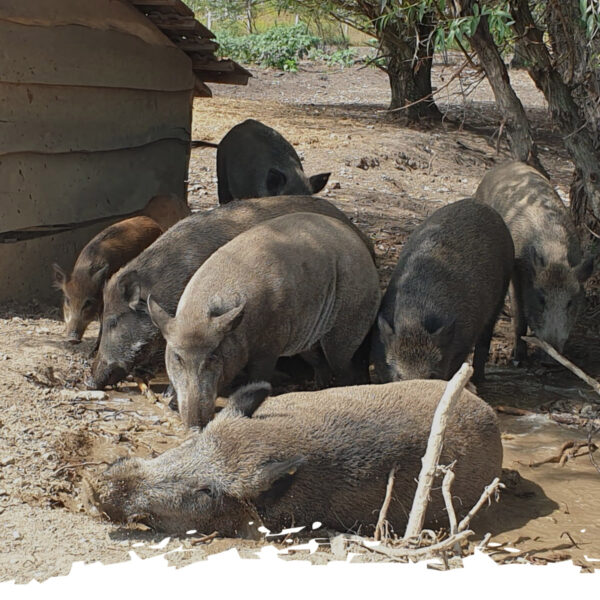 Festetics Imre Élményközpont