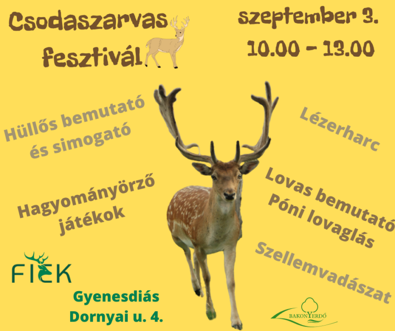 Szolgáltatások - Festetics Imre Élményközpont